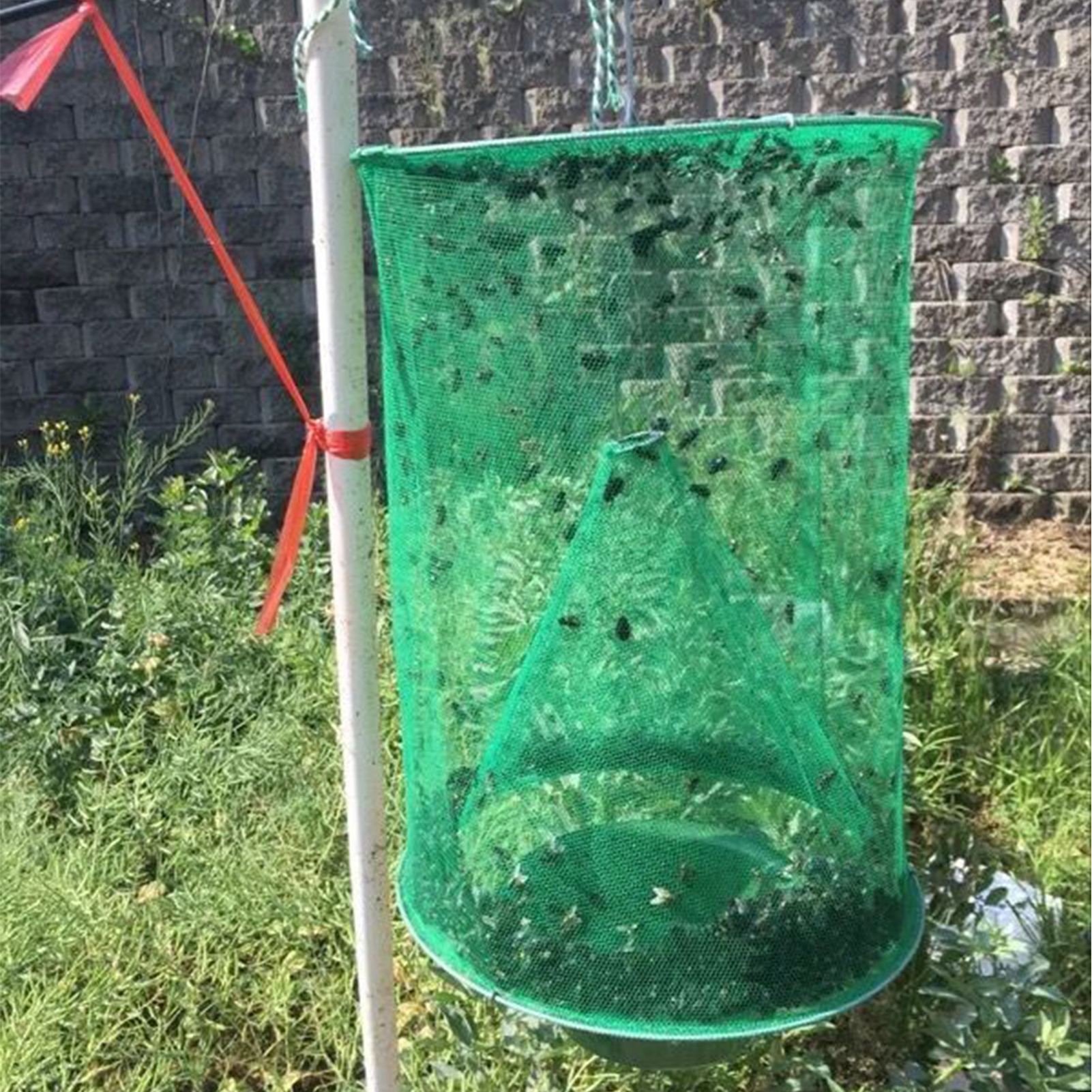 Attrape Mouche, Pièges à insectes, Réutilisable, Piège à mouches ...